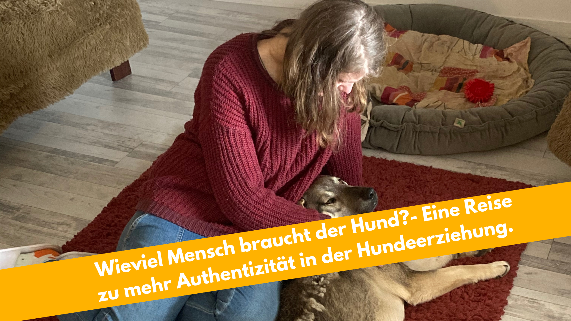 Wieviel Mensch braucht ein Hund? Eine Reise zu mehr Authentizität in ...